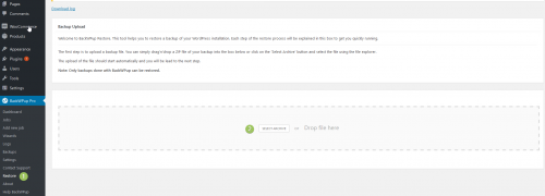 How do I use the BackWPup Restore feature? – BackWPup Docs